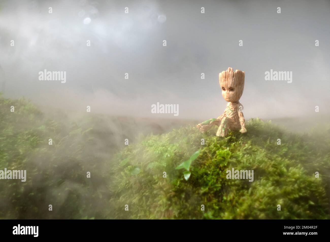 CHIANGMAI, THAILAND-SEPTEMBER 2022 : Baby Groot is sitting in green ...