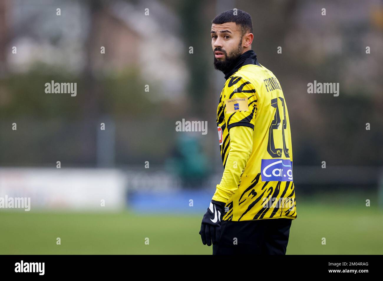 BURGH-HAAMSTEDE, NETHERLANDS - DECEMBER 4: Paolo Fernandes of AEK ...