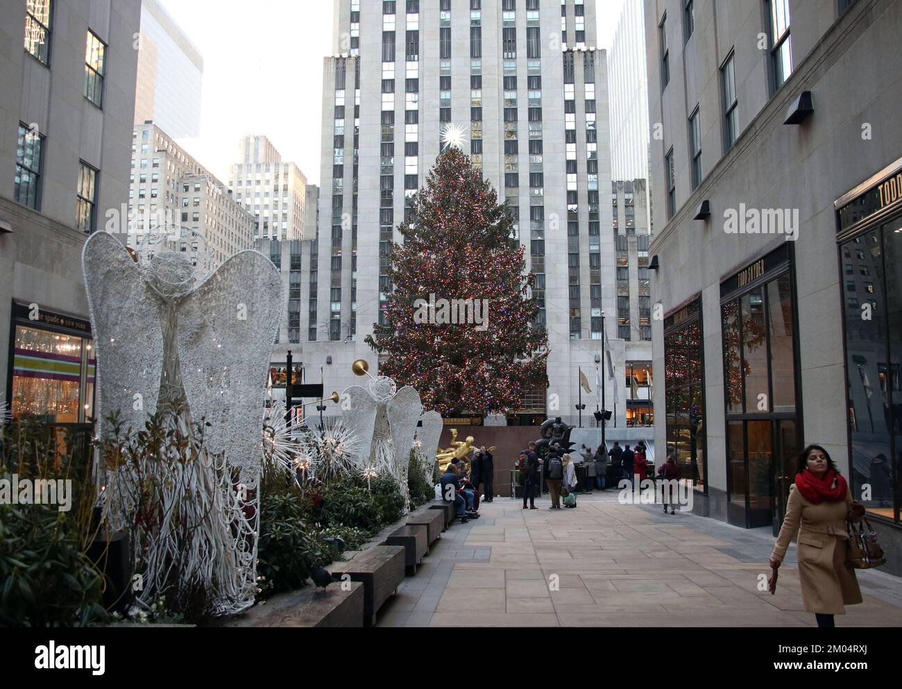 The Rockefeller Center Christmas Tree at Rockefeller Center -PICTURED ...