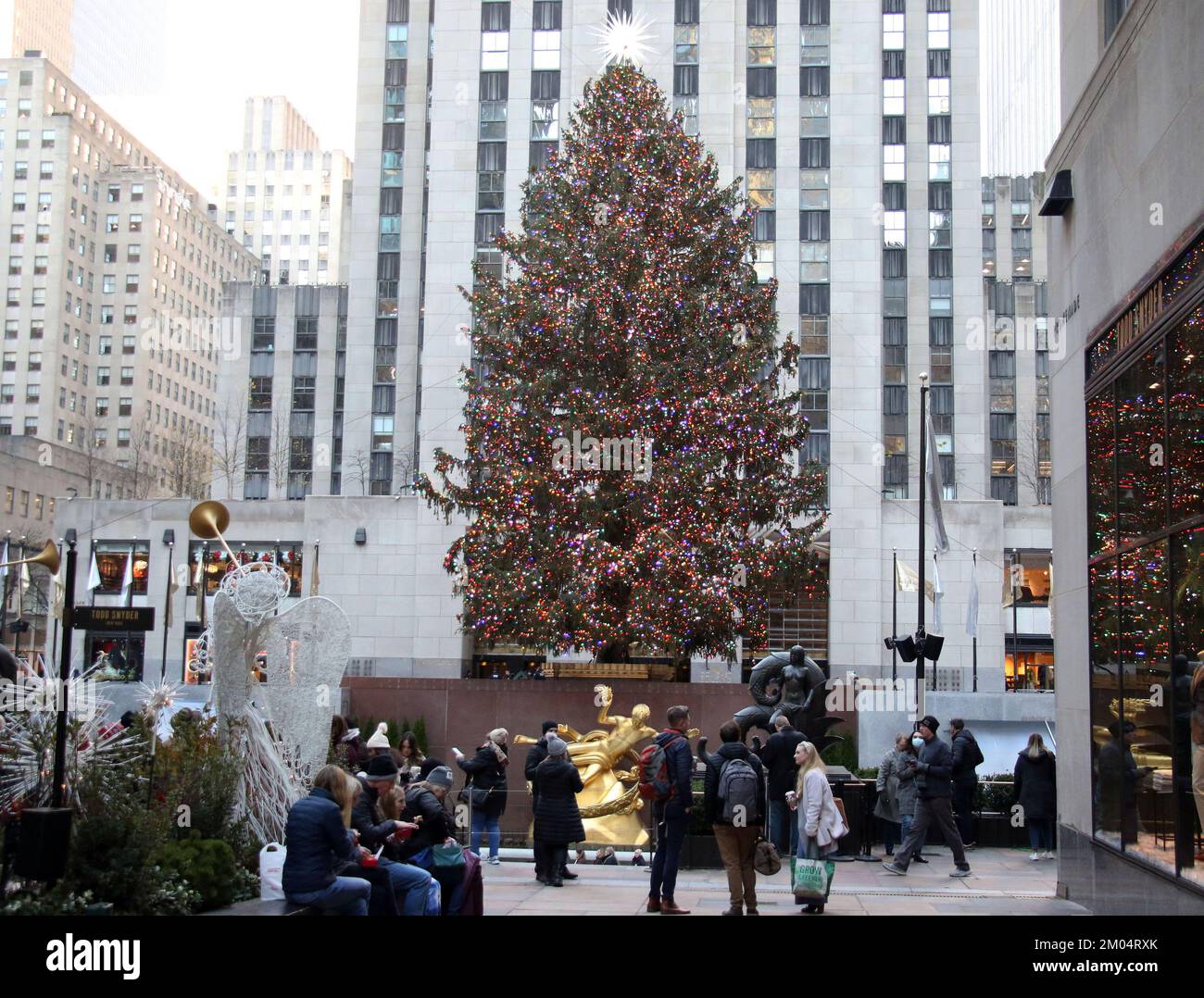 The Rockefeller Center Christmas Tree at Rockefeller Center -PICTURED ...