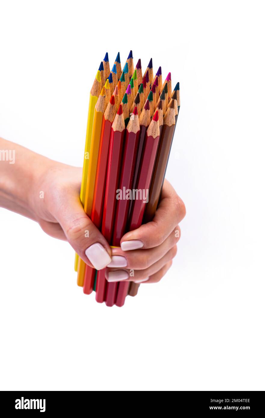 Multi-colored pencils for drawing in a female hand. multi-colored ...