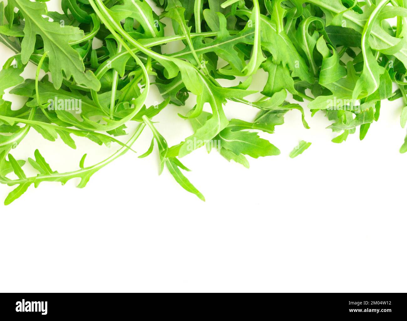 fresh farm arugula on a white background Stock Photo - Alamy