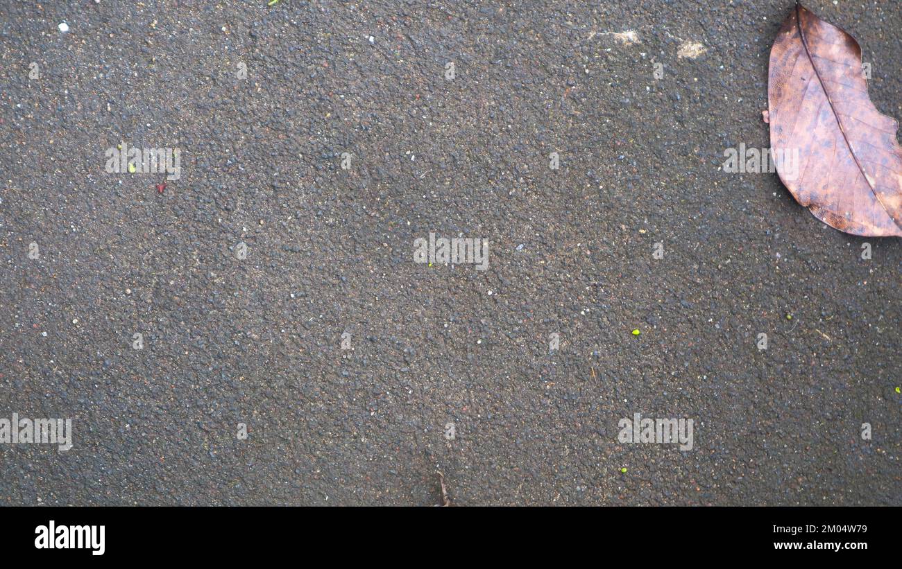 concrete road texture with fallen leaves Stock Photo - Alamy