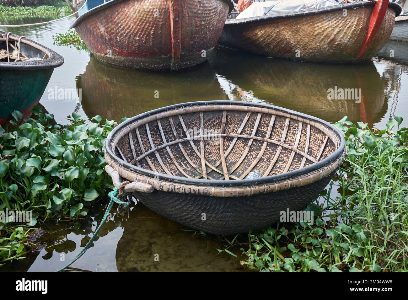 Coracle Boat Hoi An Vietnam Stock Photo - Alamy