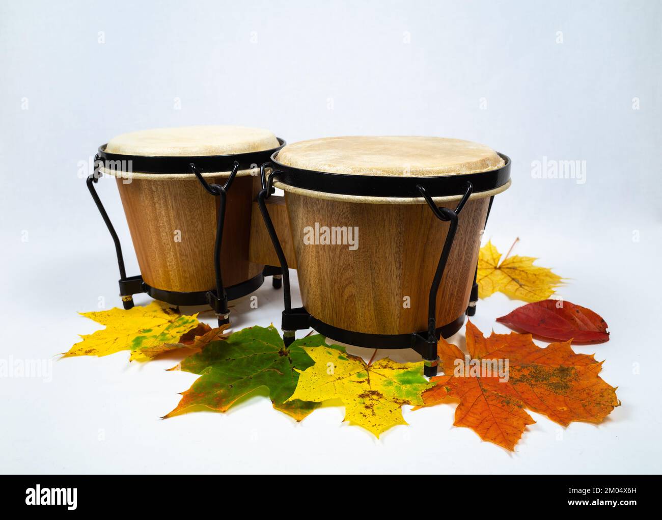 Rhythm instruments hi-res stock photography and images - Alamy
