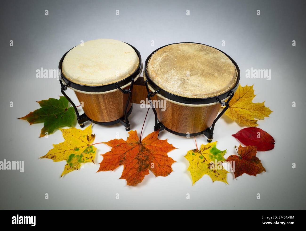 Rhythm instruments hi-res stock photography and images - Alamy