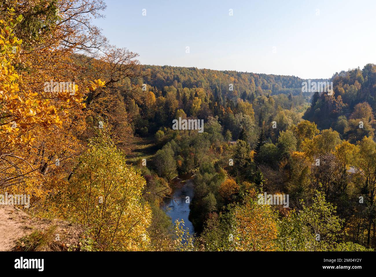 Wide view of nature with orange yellow autumn leaves and light blue sky ...