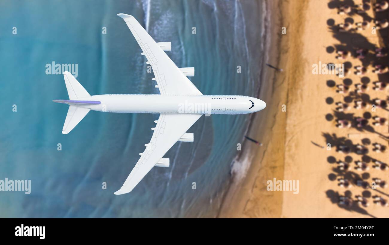 Airplane flying over beach with palm tree, white sand and turquoise ...