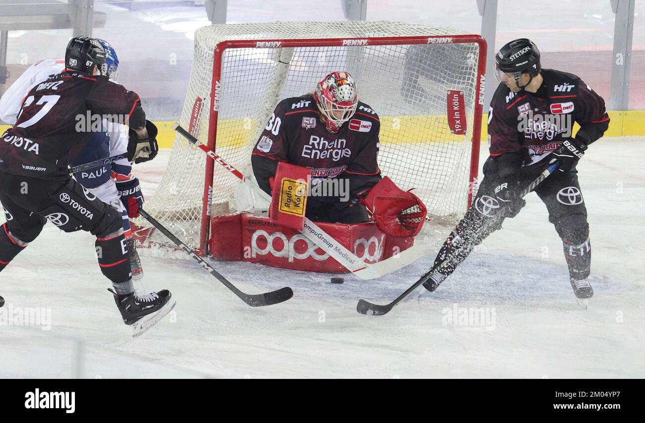 Cologne, Deutschland. 03rd Dec, 2022. firo : 03.12.2022 ice hockey, 1st ...