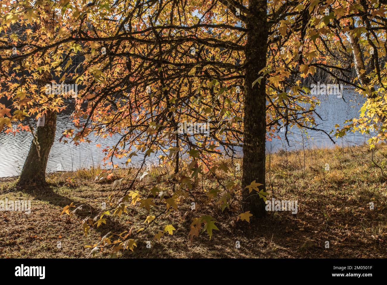 Etang de la prade hi-res stock photography and images - Alamy