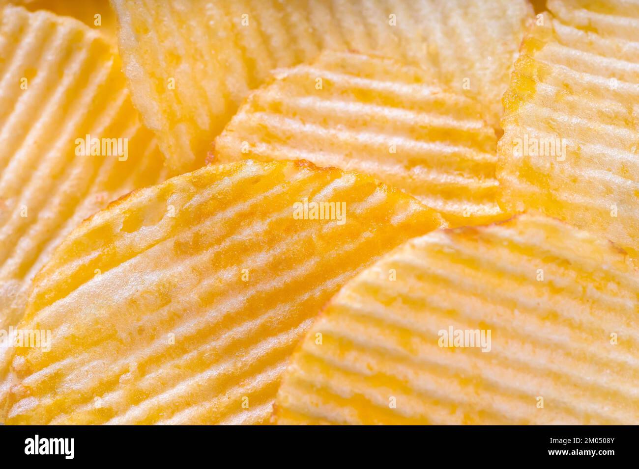 Yellow crispy ridged potato chips close up. Food background, banner ...