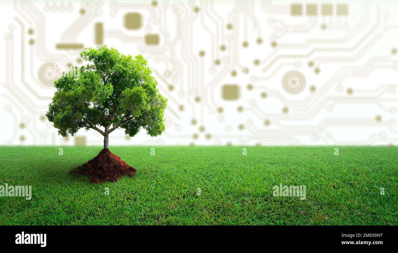 Growing tree on green grass with soil. Nature with Digital Convergence ...