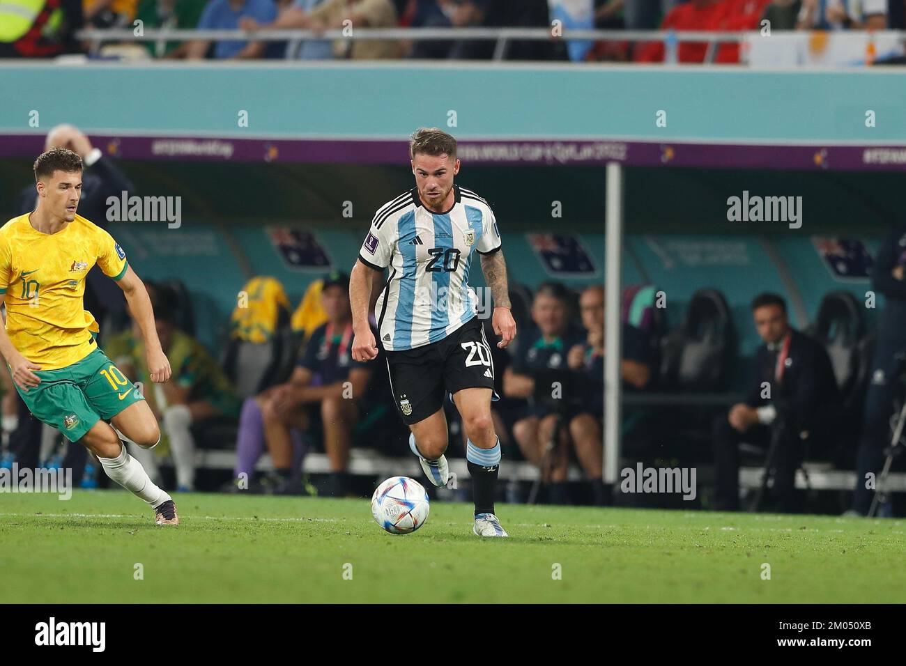 Al Rayyan, Qatar. 3rd Dec, 2022. Alexis Macallister (ARG) Football ...
