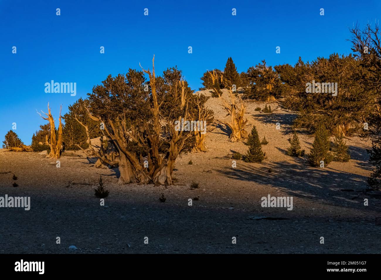 Magnificent sundown hi-res stock photography and images - Alamy
