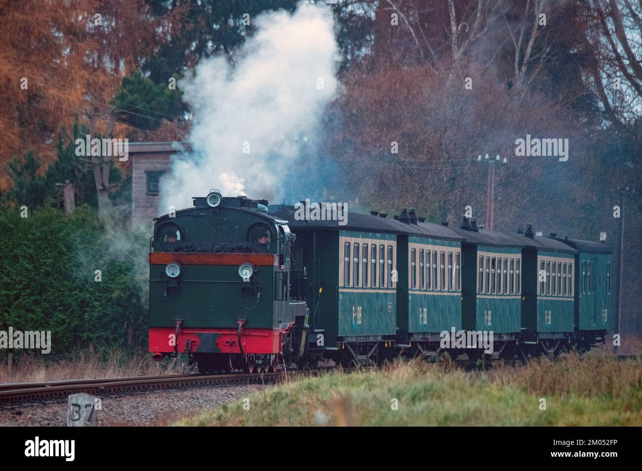 Putbus, Germany. 04th Dec, 2022. Steam locomotive 53 Mh (99 4633) of ...