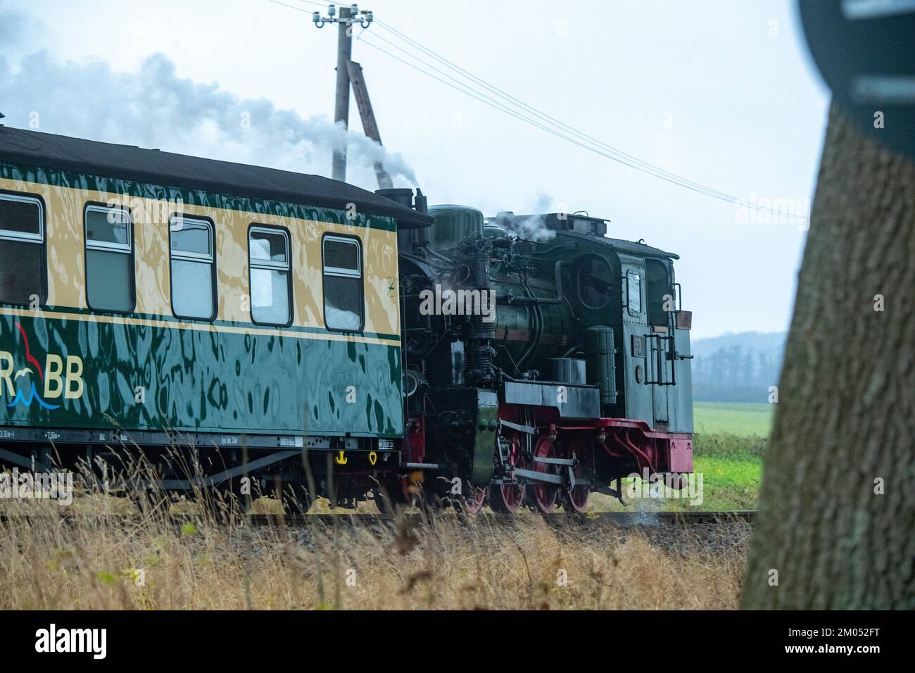 Putbus, Germany. 04th Dec, 2022. Steam locomotive 53 Mh (99 4633) of ...