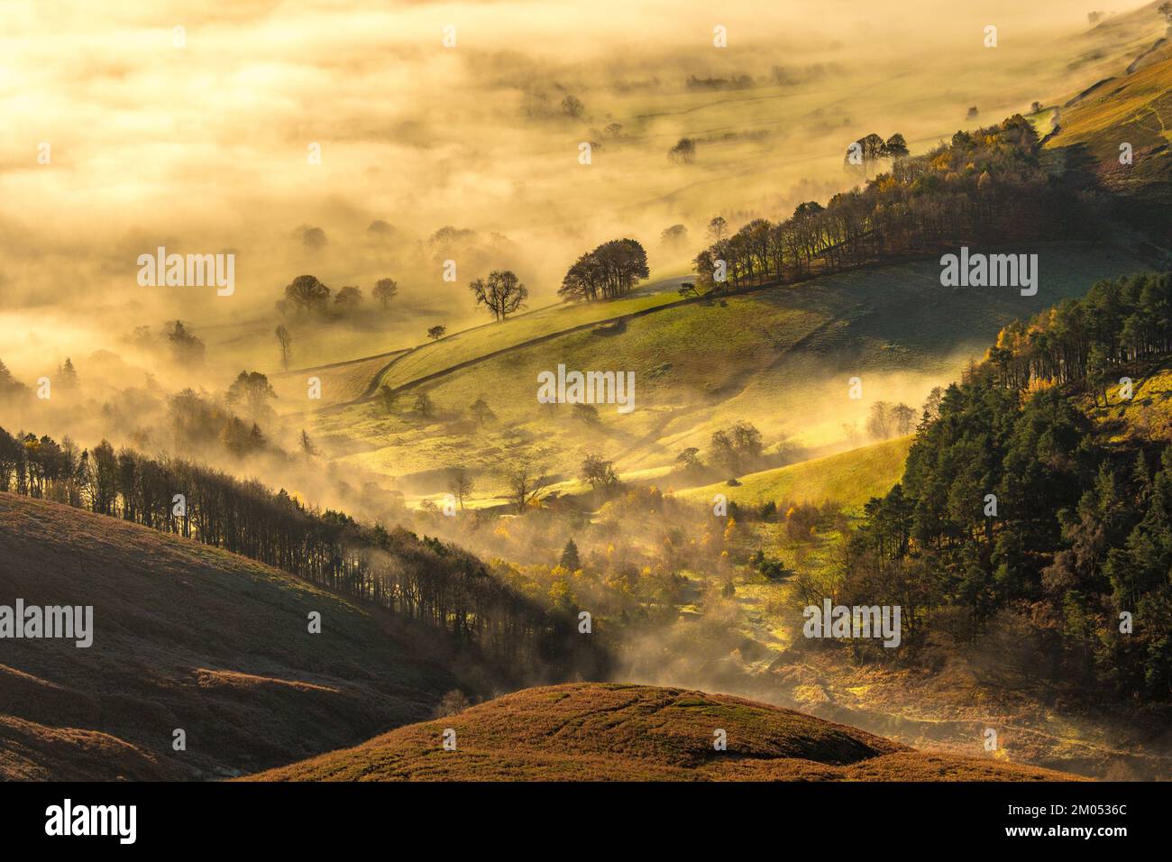 Autumn mist and trees in the Edale valley, Peak District National Park ...