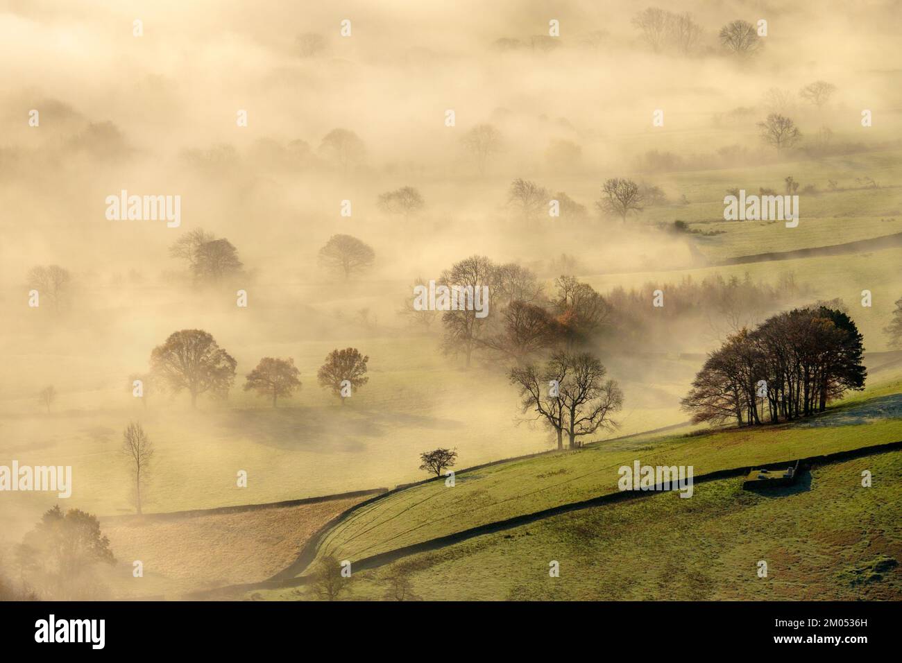 Autumn mist and trees in the Edale valley, Peak District National Park ...