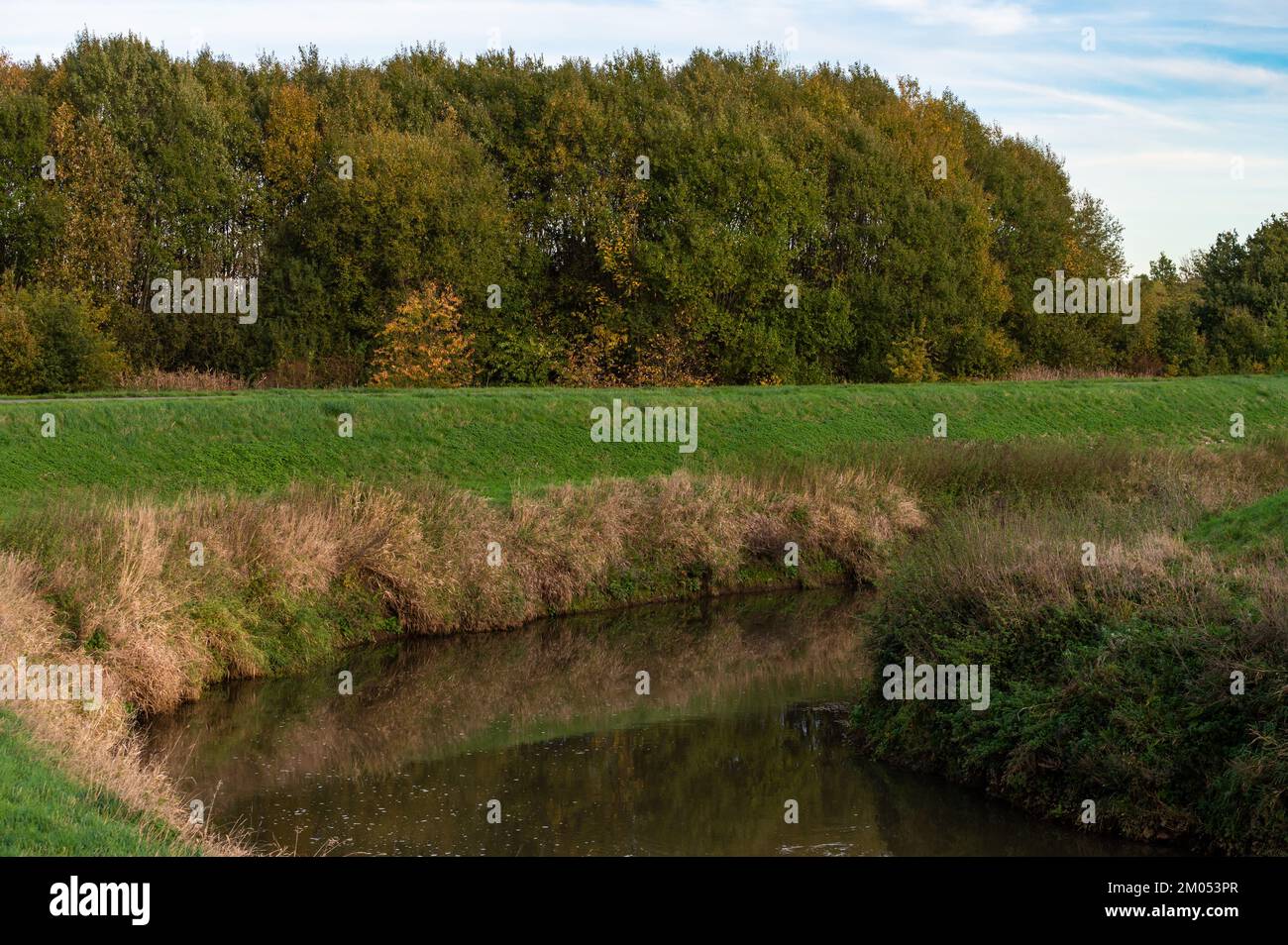 Meander of the River Demer with the natural surroundings reflecting in ...