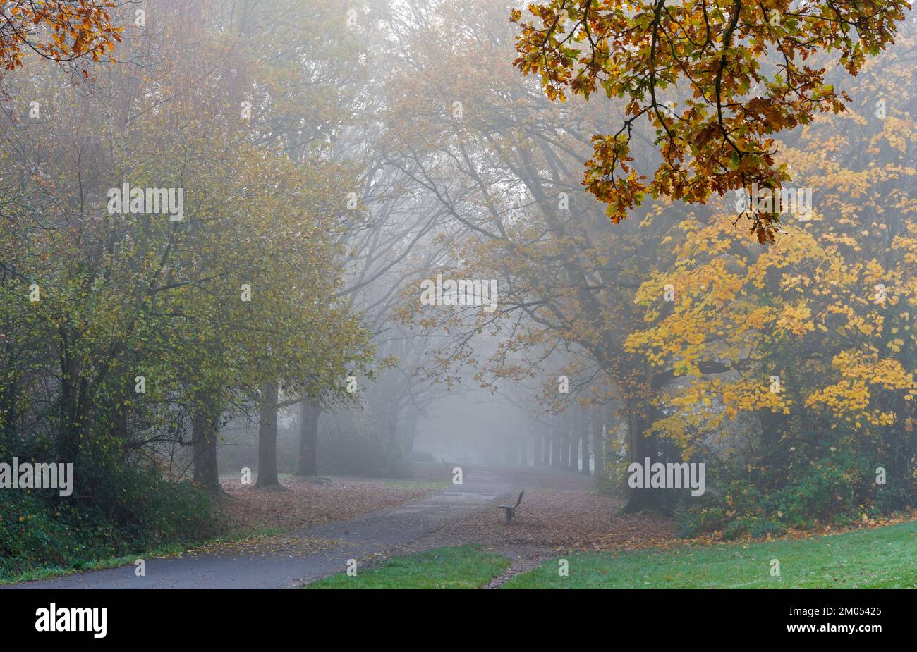 Misty morning on Southampton Common, Southampton, Hampshire, UK Stock ...