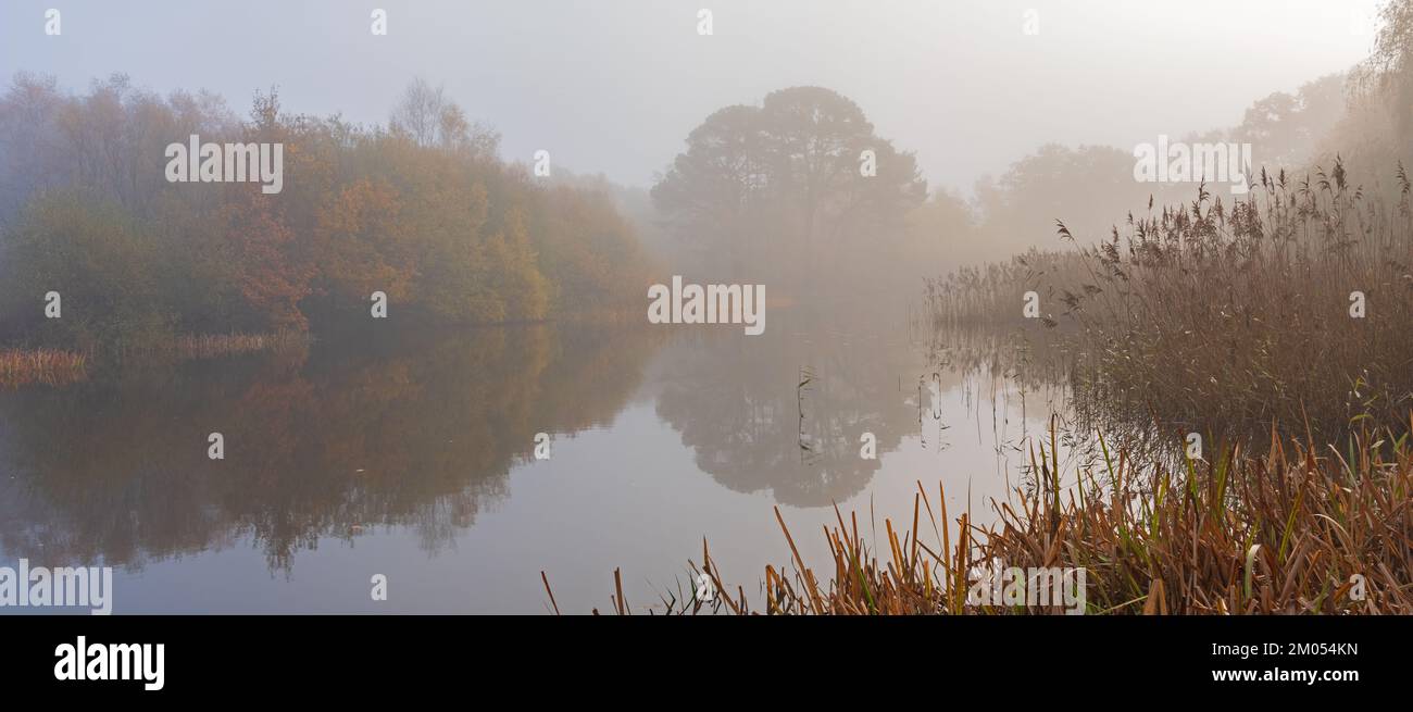 The Ornemantal Lake (fishing lake) Southampton Common, Hampshire, UK on ...