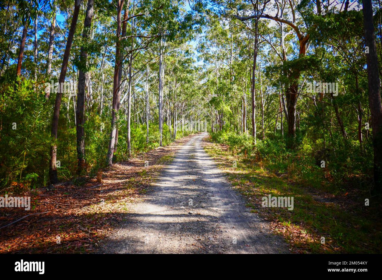 The countryside and outback of Australia Stock Photo - Alamy