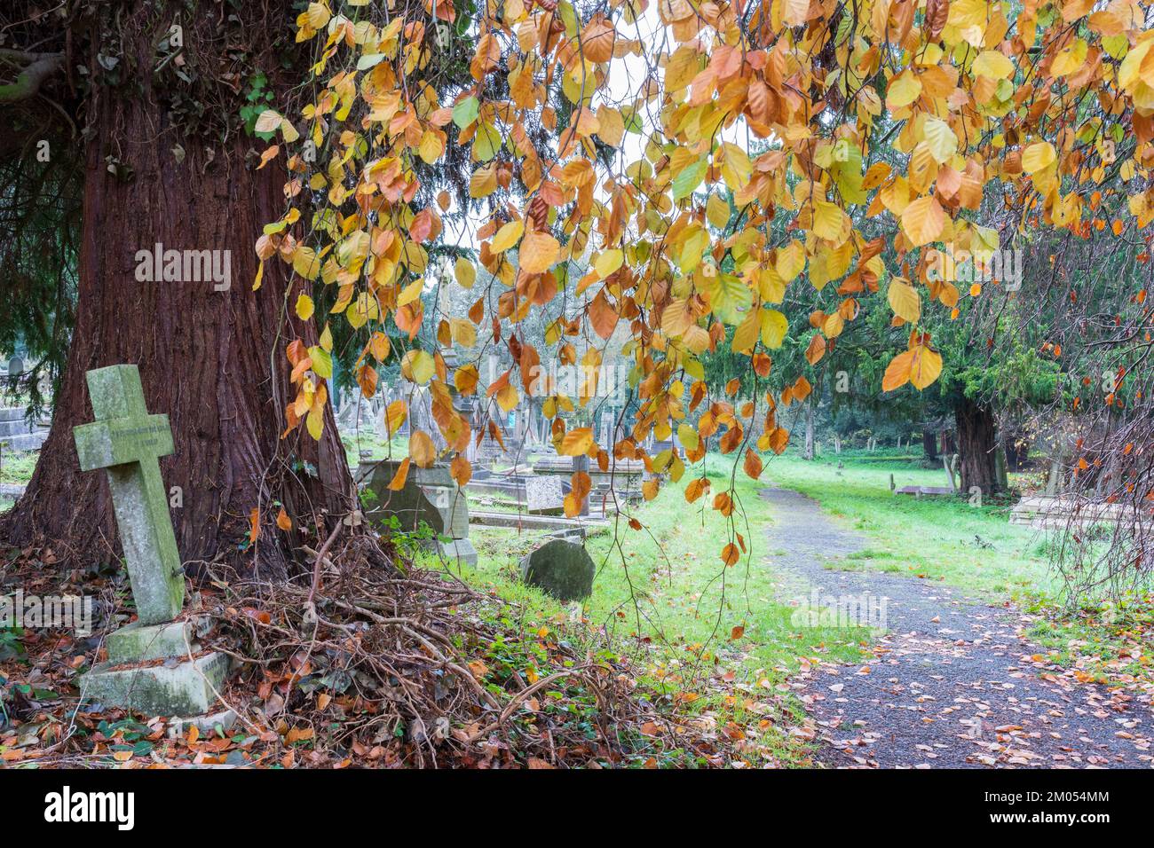 Fall southampton old cemetery hi-res stock photography and images - Alamy