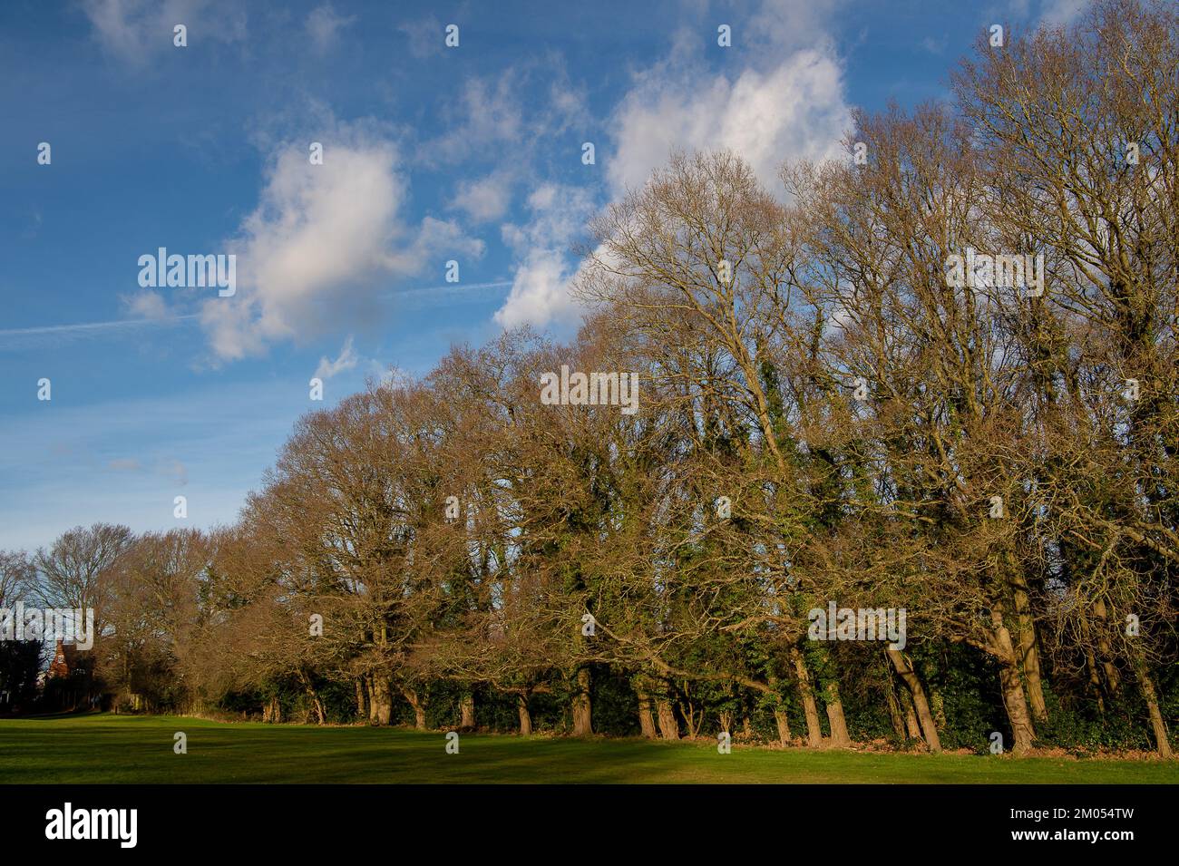 Maidenhead, Berkshire, UK. 1st February, 2022. Maidenhead Golf Course ...