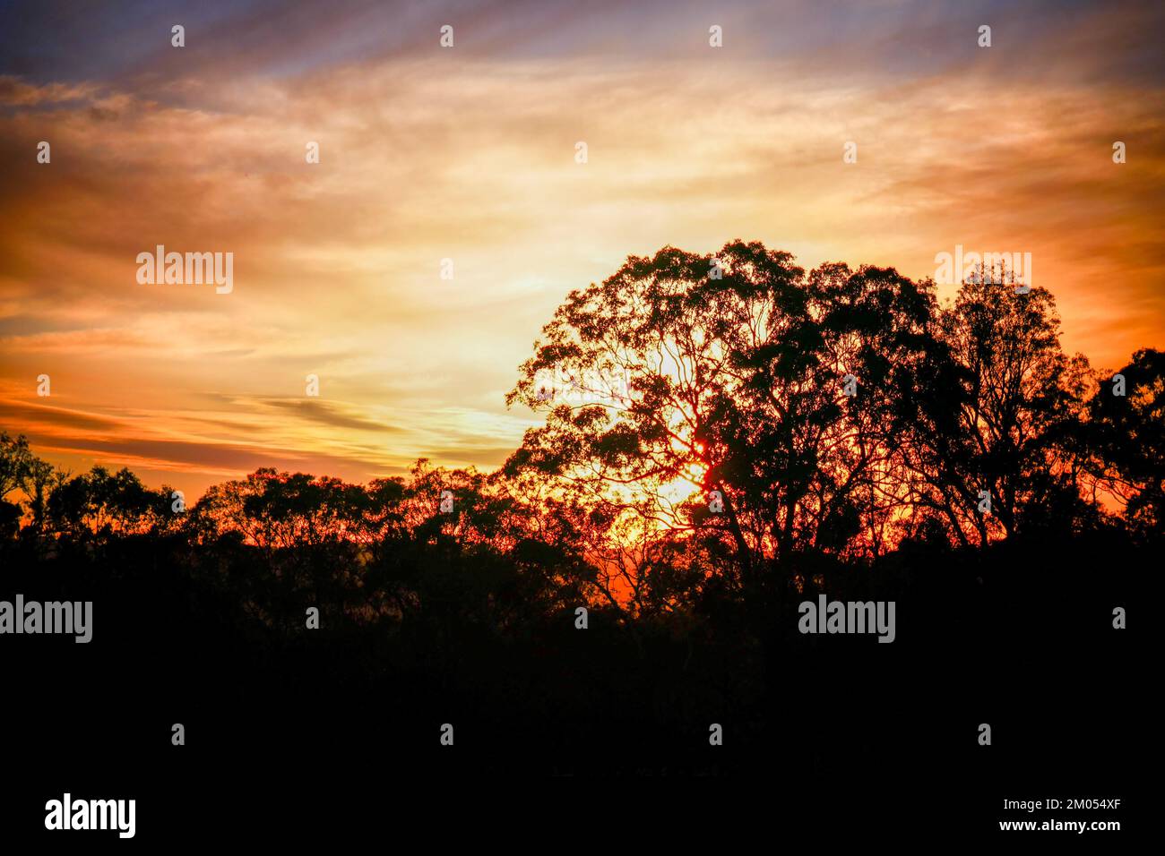 Rural australian sunrise hi-res stock photography and images - Alamy