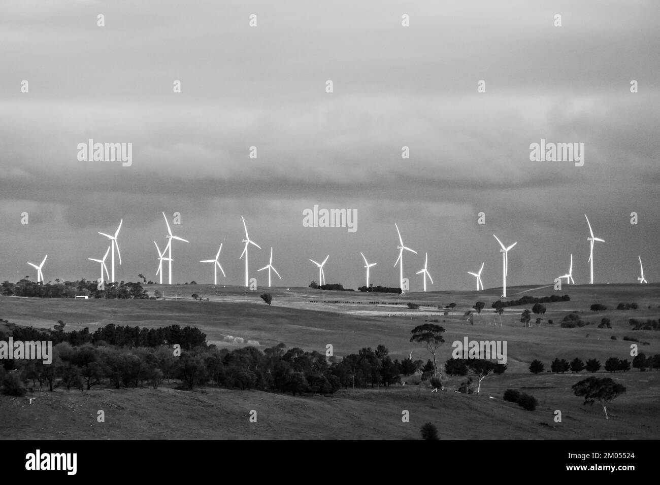 Wind turbines in the countryside of Australia, in black and white Stock ...