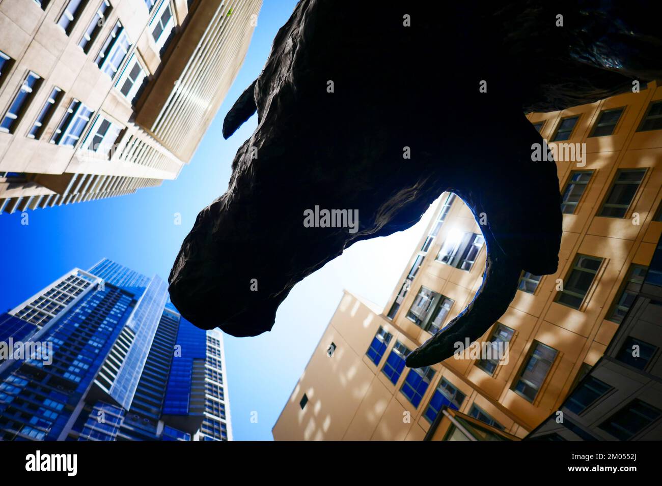 Looking up to the sky from under the bull statue in Sydney, Australia ...