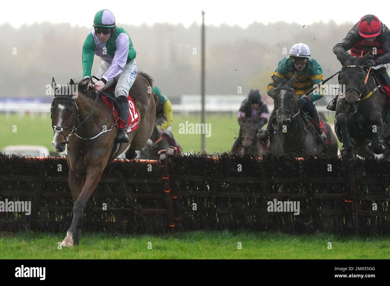 Fairyhouse stand hi-res stock photography and images - Alamy