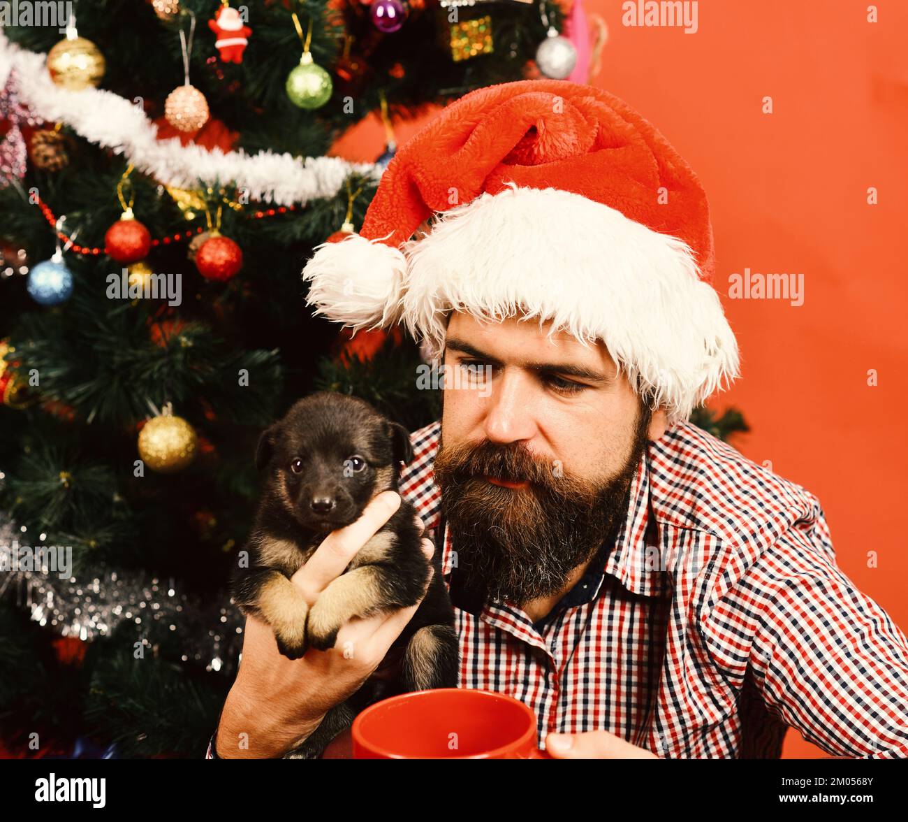 Box cuddles hi-res stock photography and images - Alamy