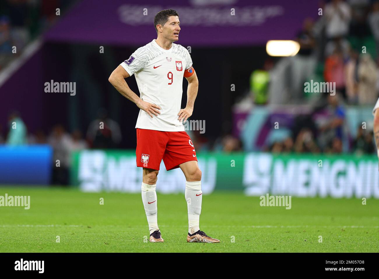 Robert Lewandowski during the FIFA World Cup Qatar 2022 Round of 16 ...