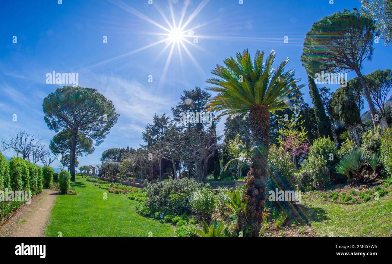 Landscape of colorful flowers and palm trees on the Amalfi coast of ...