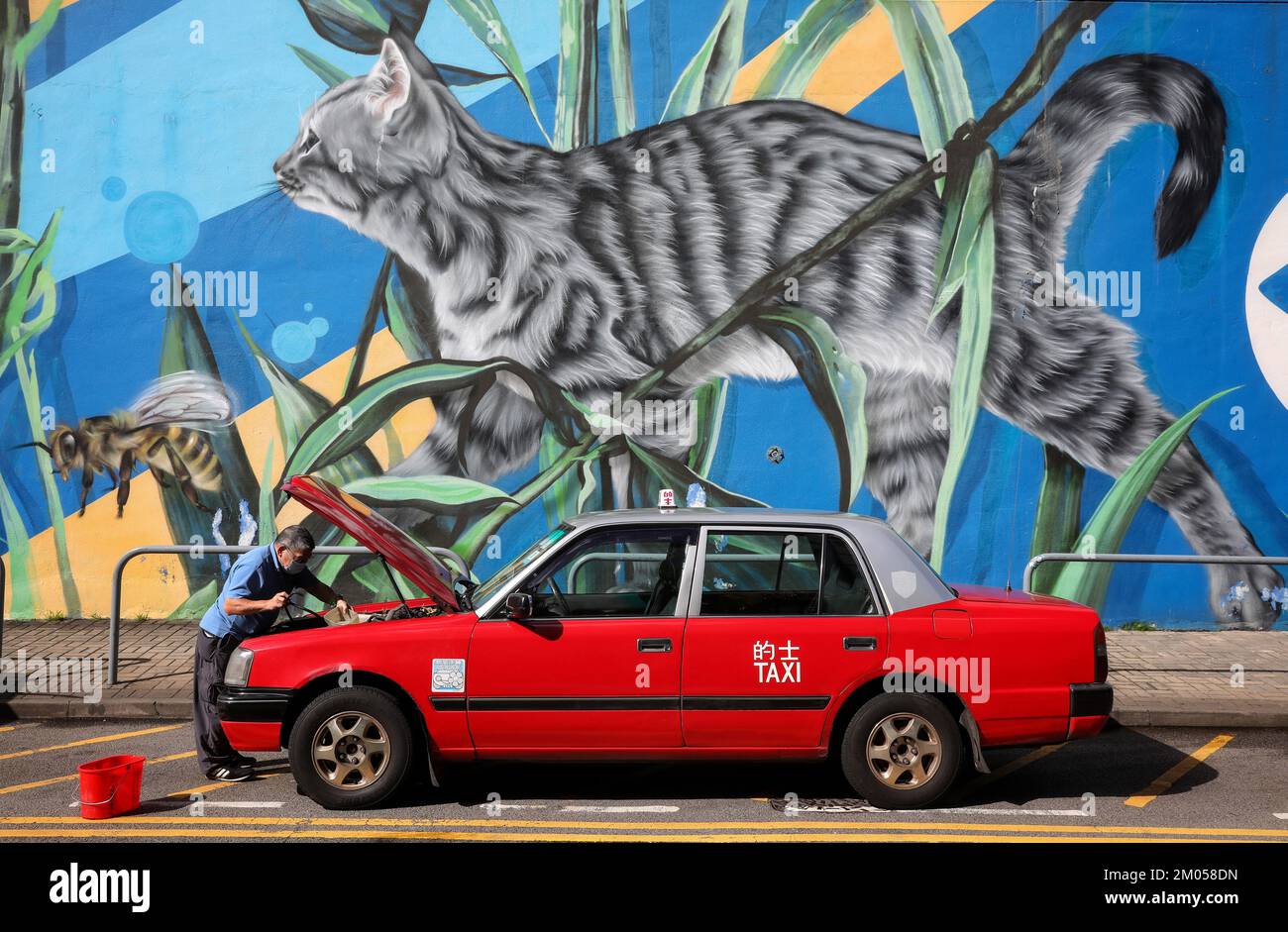 A taxi driver checking his vehicle under a huge mural outside the SPCA ...