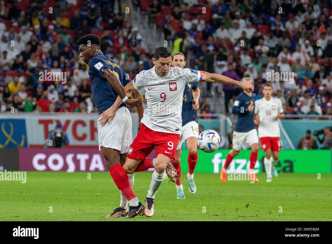 Doha, Qatar. 04th Dec, 2022. Robert Lewandowski of Poland during a ...