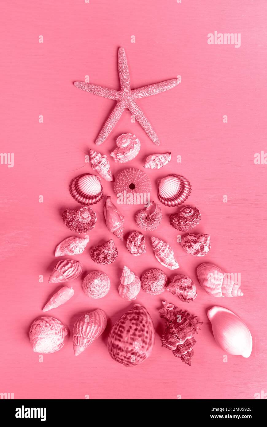Set of various seashells and one starfish laid out as Christmas tree ...