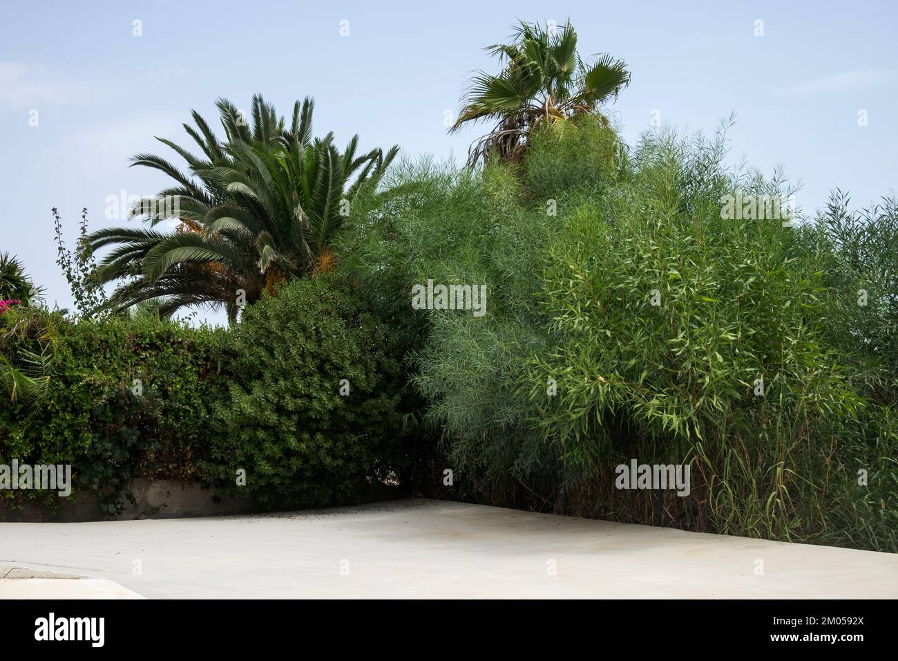 Open terrace facing the sea in a private villa in Sicily, Italy during ...