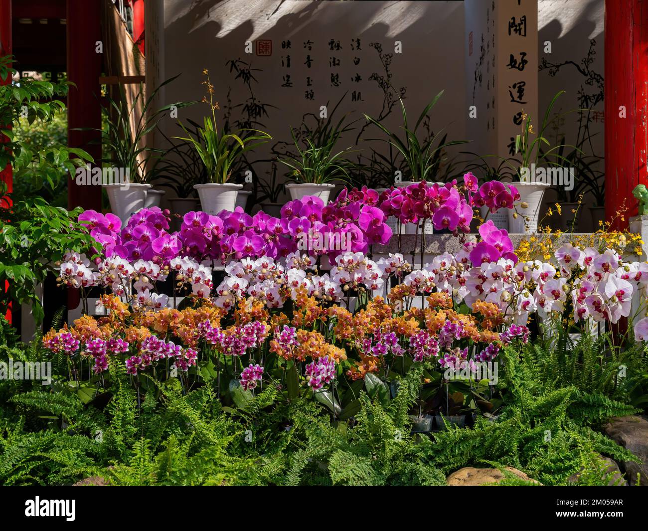 Lou lim ioc chinese garden hi-res stock photography and images - Alamy