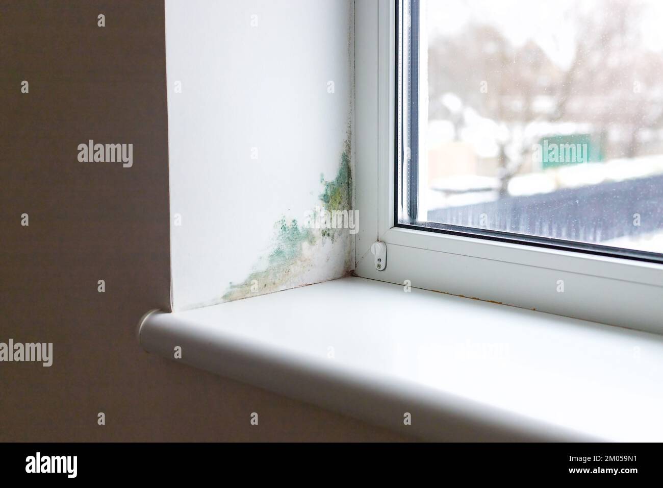 Slope near the window fungus moisture. Selective focus. Home Stock ...