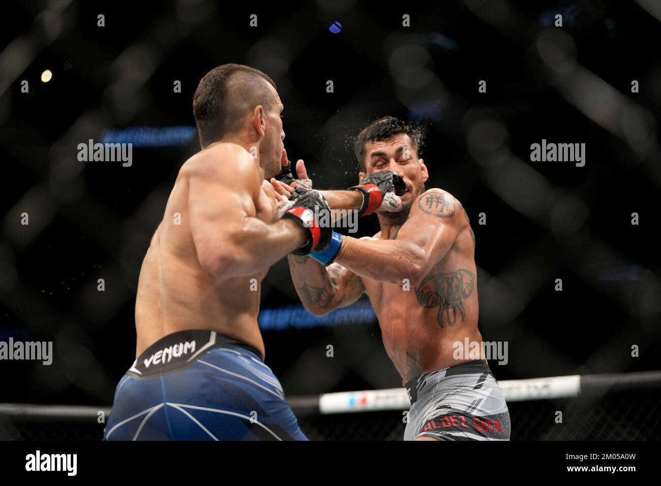 Genaro valdez r and natan levy l hi-res stock photography and images ...