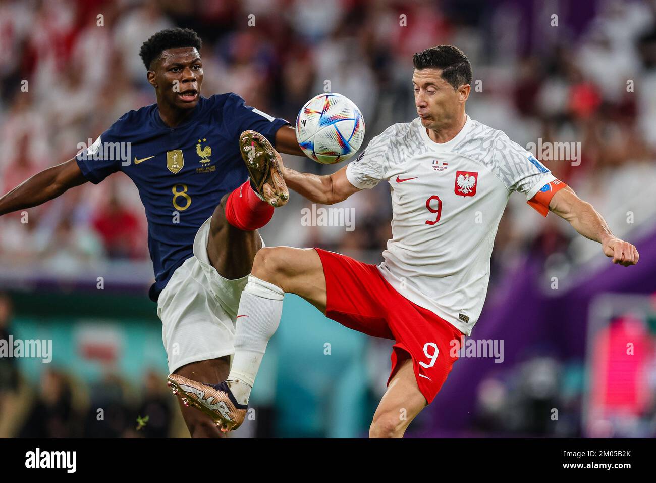 Robert lewandowski fifa club world cup hi-res stock photography and ...