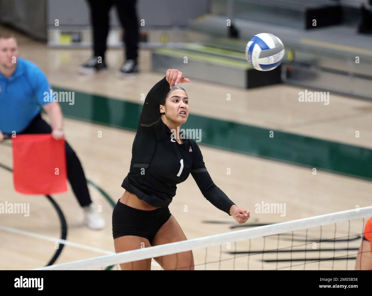 2022 329 jpg hi-res stock photography and images - Alamy