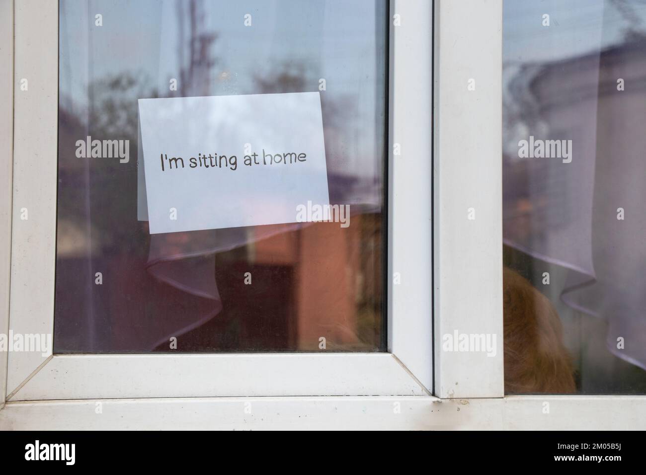 sitting at home the word in English written by hand hanging on a window ...