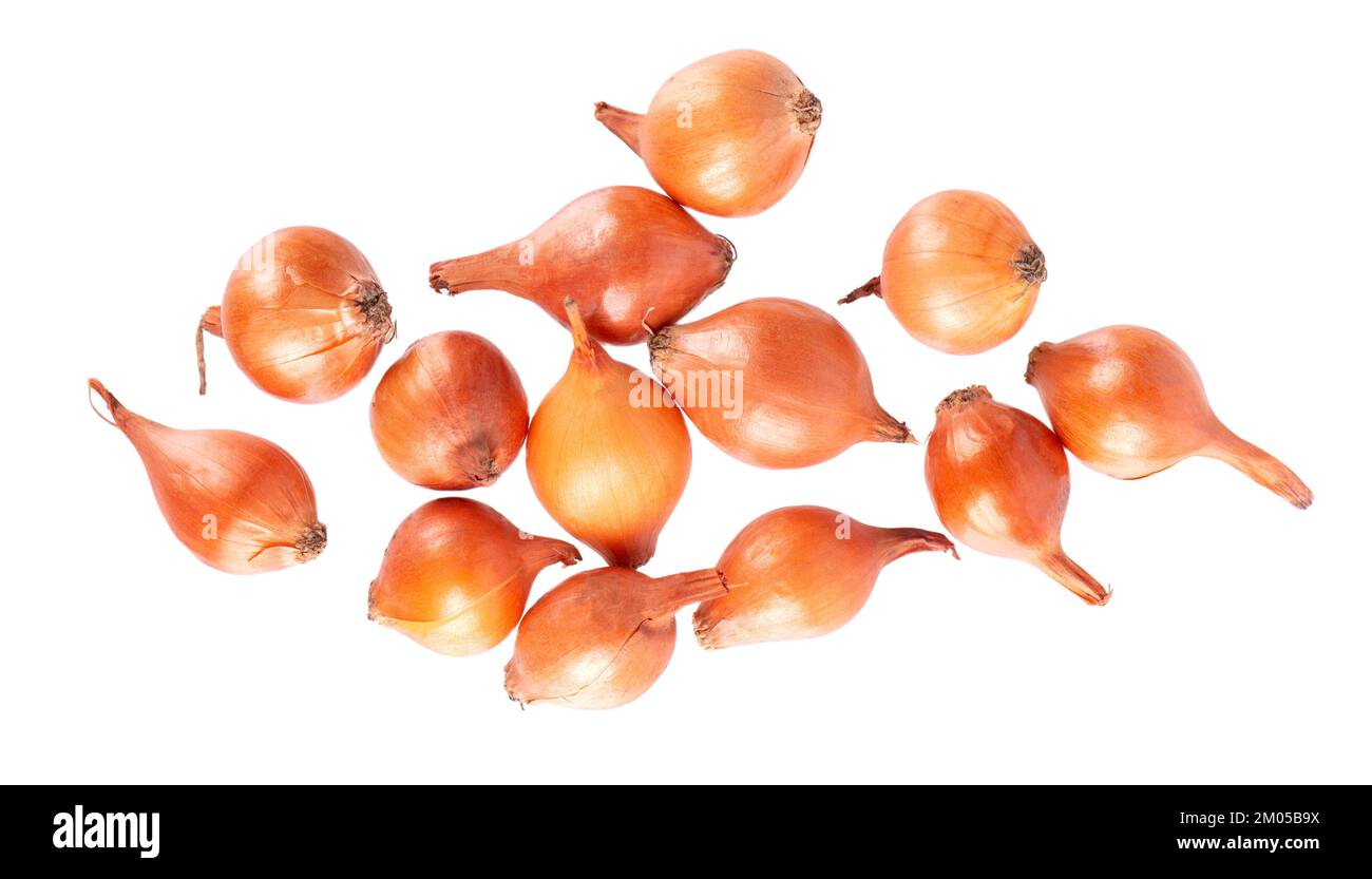 Brown mini onions isolated on a white background. Raw onion bulbs, for ...