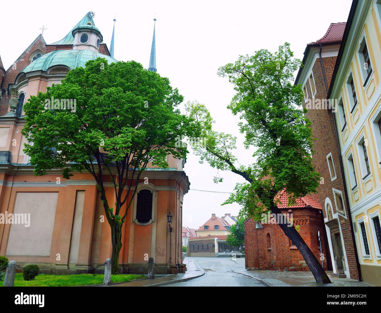 Perspective view from the road, Tilted Tree leaning towards another ...