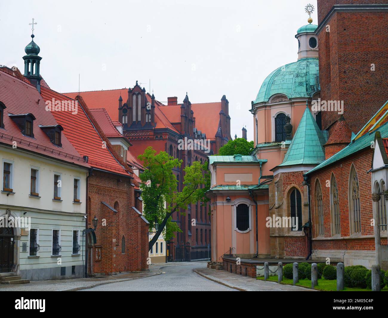 Perspective view from the road, Tilted Tree leaning towards another ...