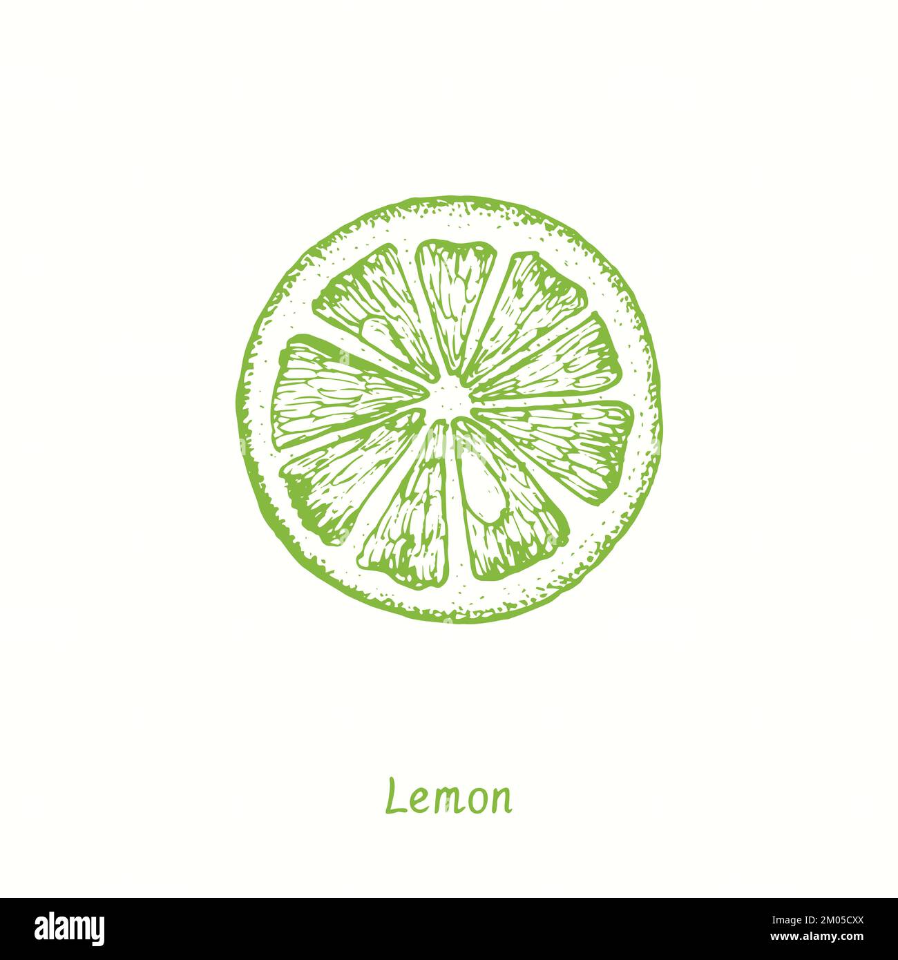 Citrus slice drawing hi-res stock photography and images - Alamy