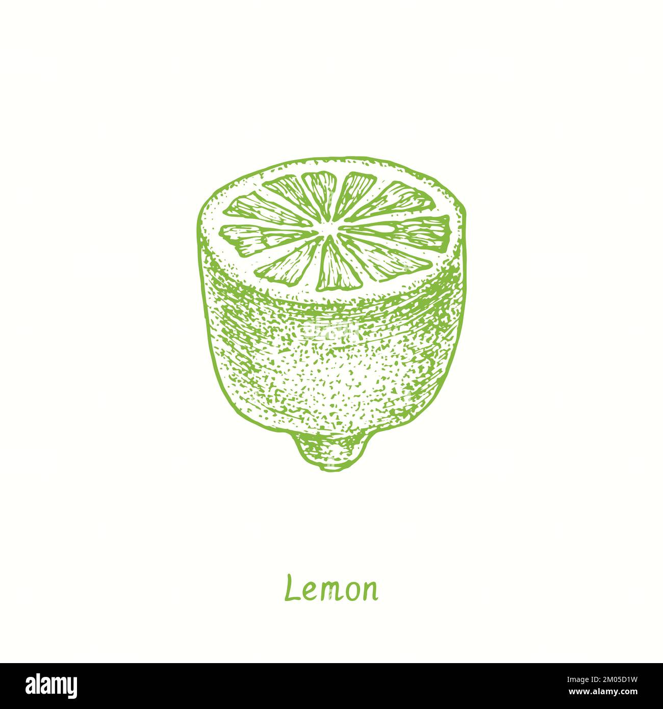 Lemon cut half fruit. Ink doodle drawing in woodcut style Stock Photo ...